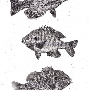 Buy a Hand Made Floating Octopus Gyotaku Print - Traditional Japanese ...