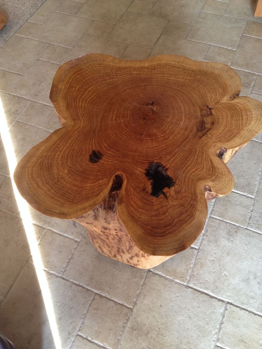 Custom Made Stump, Tree Base End Tables by Live Edge Woodcrafts ...