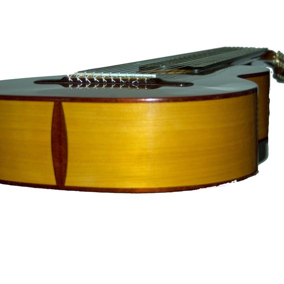 Custom 10 String Guitar by Michael L. Elwell | CustomMade.com