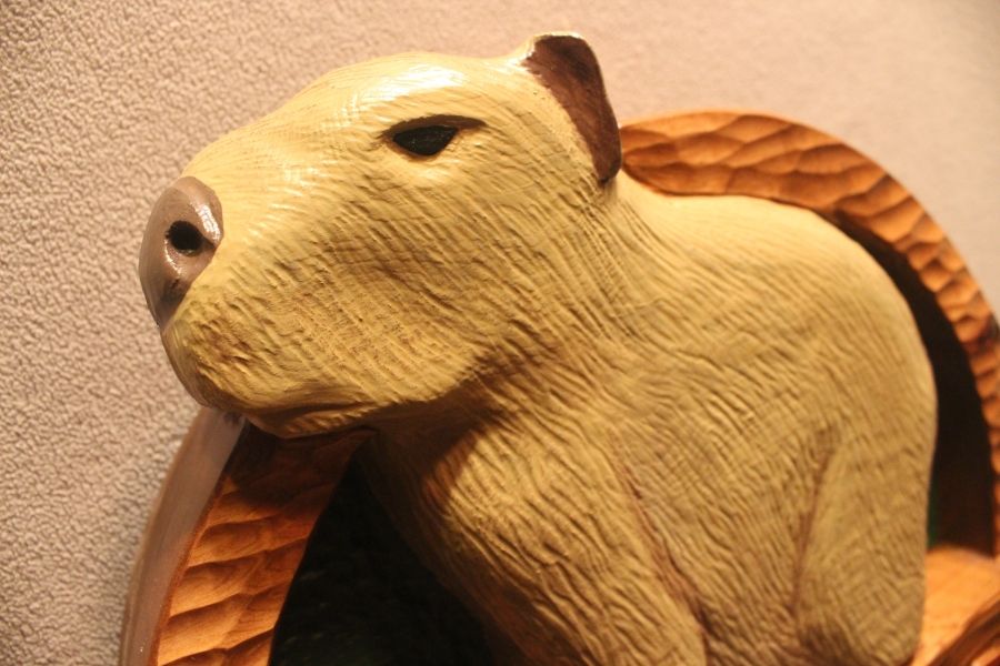 Hand Crafted Zoo Signs | Animal Signs | Wildlife Signs | Custom Carved ...