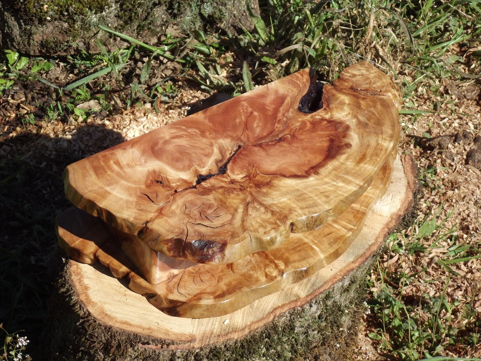 Hand Made Redwood Root Burl Keepsake Box by Mark Norman's Custom Crafts ...