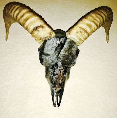 Handmade Custom European Mounts, Natural Or Hydro-Dipped! by Boar Creek ...