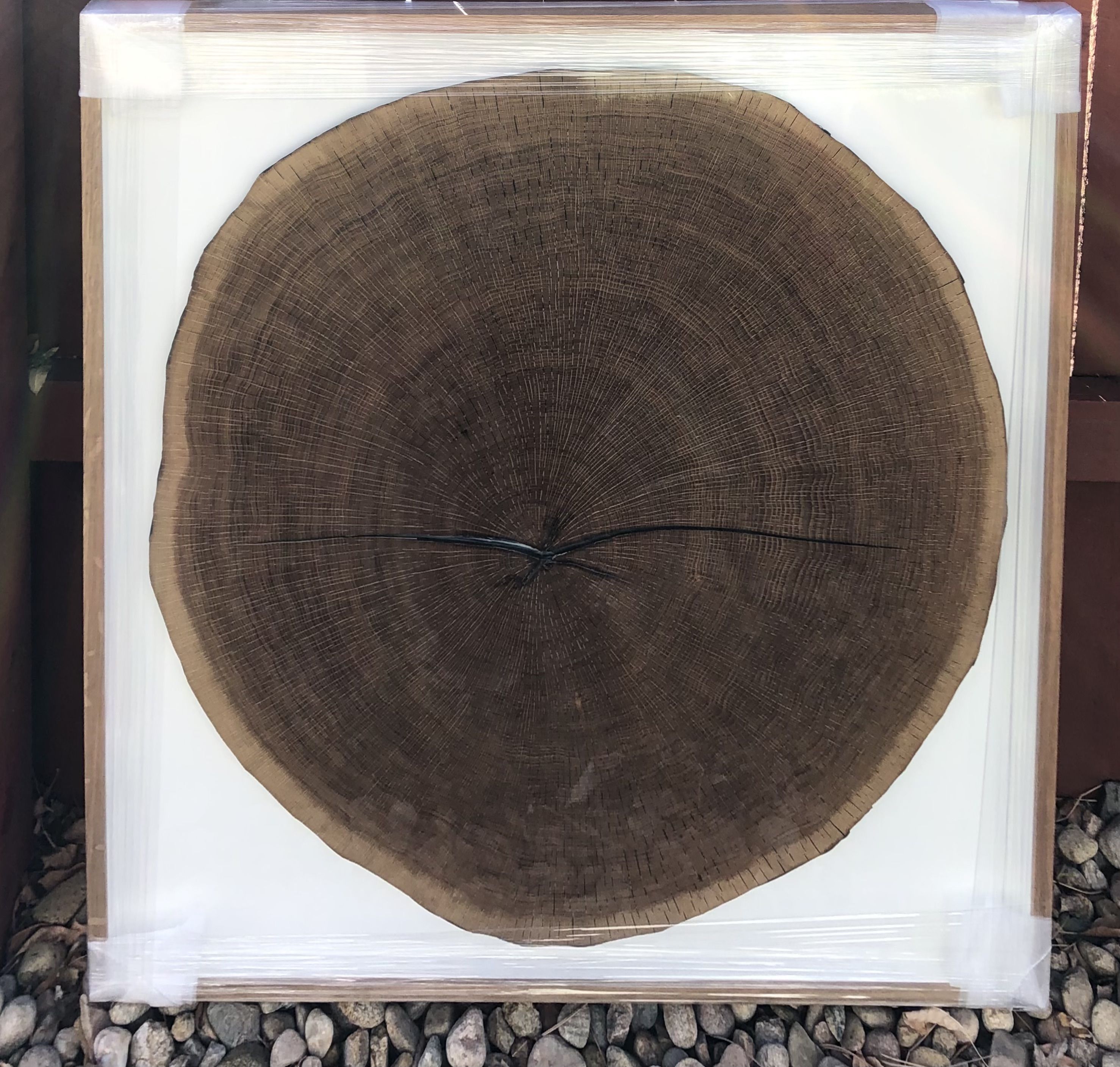 Buy Custom Made Large Tree Ring Wall Art, made to order from FOX FARM ...