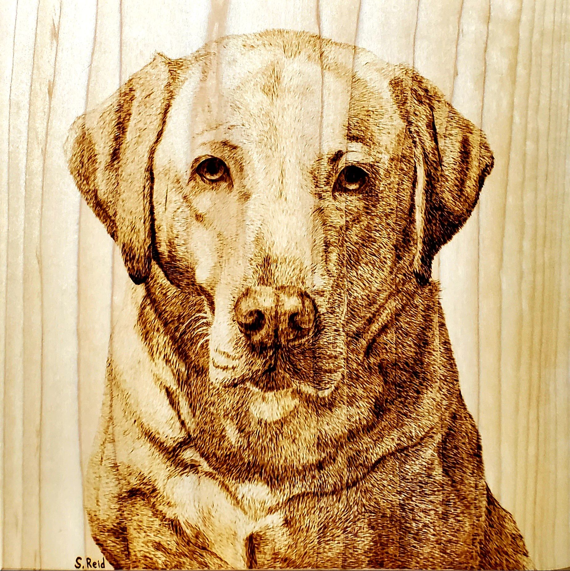 Hand Made Custom Dog Portrait Wood Burnings by Woobly Wood Working ...