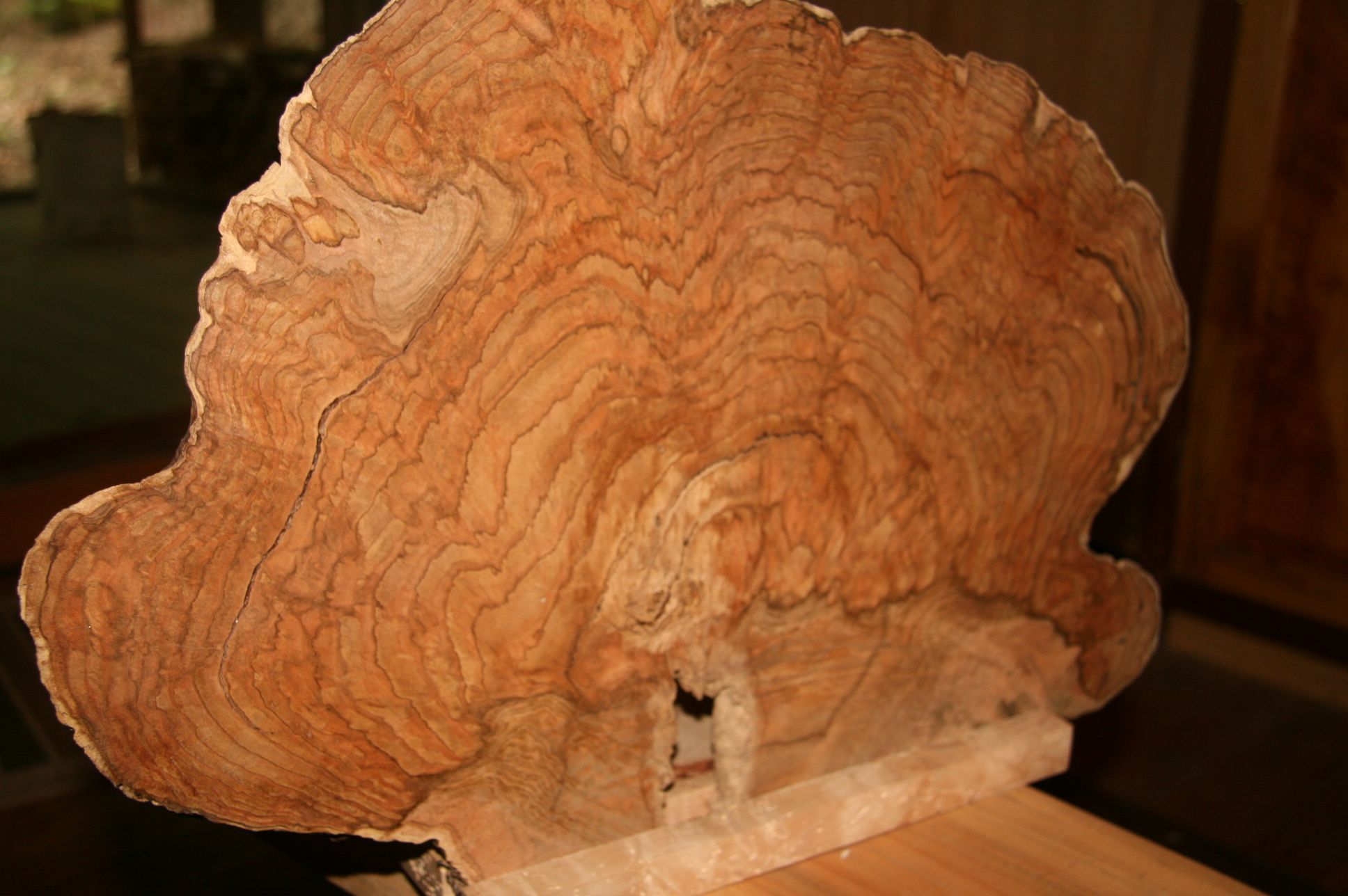 Buy Handmade Decorative Maple Burl, made to order from Fish Gap Rustics ...